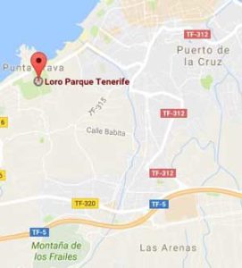 Loro Parque, Meet The Penguins & Other Animals